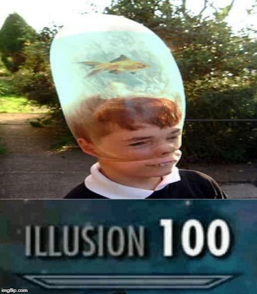 The Illusion Of Free Choice Meme Template