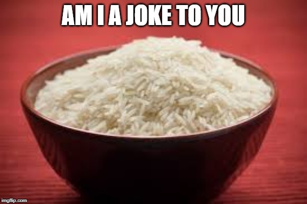 All this rice - Imgflip