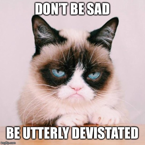 Grumpy Cat Lives - Imgflip