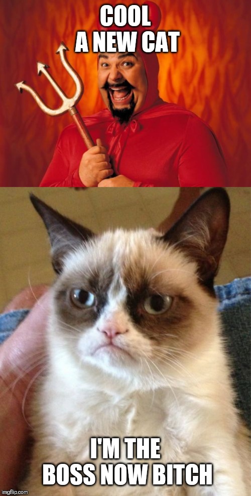 Image tagged in memes,grumpy cat,happy devil - Imgflip