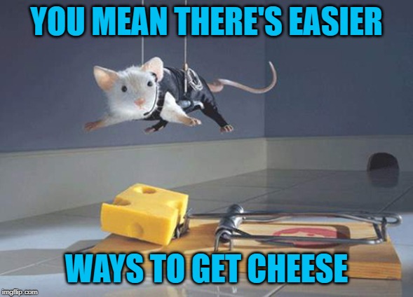 Confusing for mice when you yell cheese - Imgflip