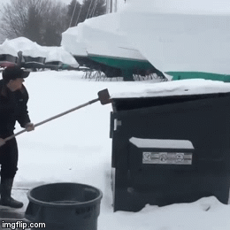 Cat gaps trash can! - Imgflip