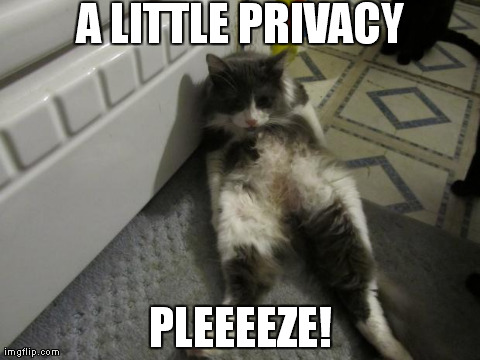 Image tagged in smokey - Imgflip