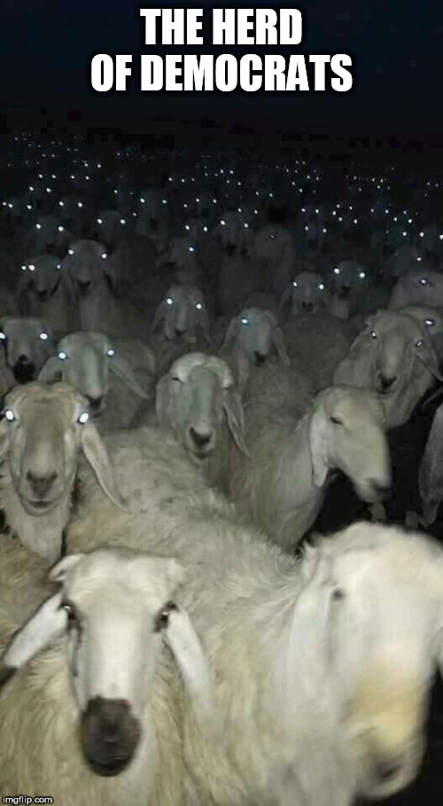 DEMOCRATS - Imgflip