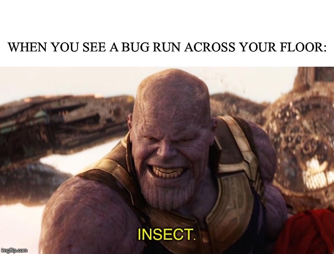 Summertime is here & so are the creepy crawlies - Imgflip