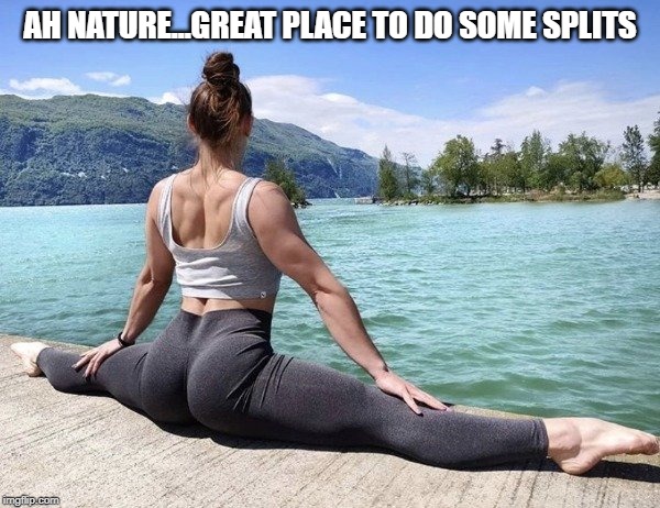 Splittin on the Dock... - Imgflip