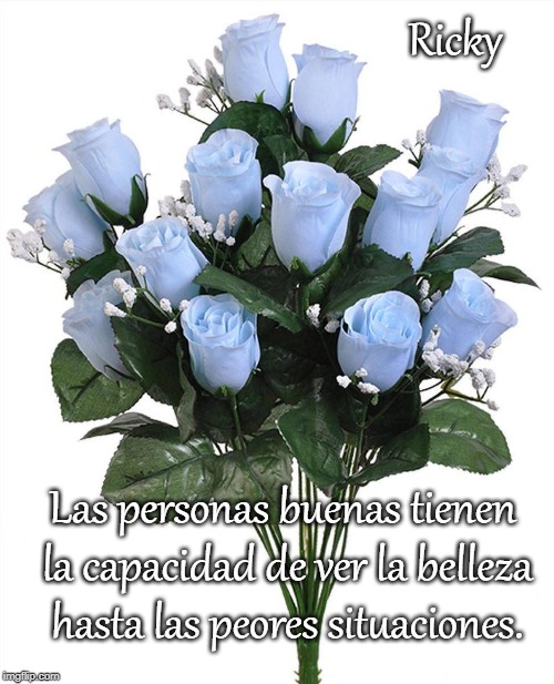 White Roses - Imgflip