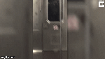 Typical day at the subway - Imgflip