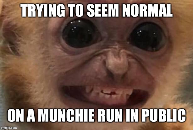 Monkey - Imgflip
