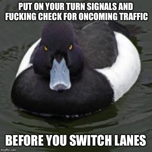 This is how you get honked at. : r/AdviceAnimals