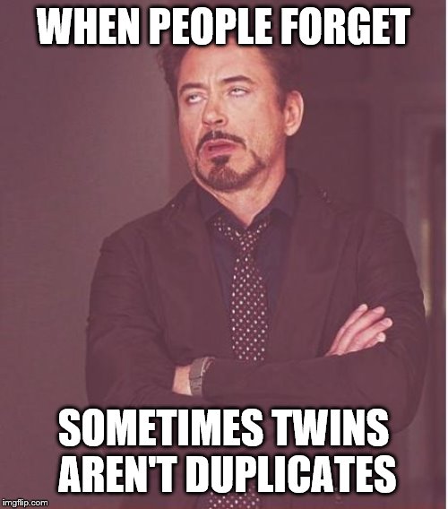 Fighting with twins - Imgflip