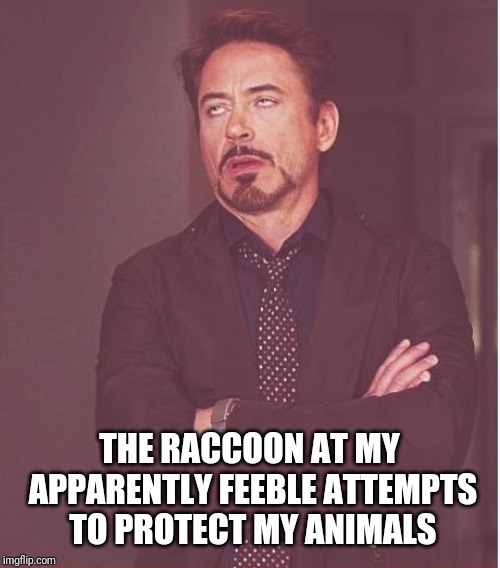 Face You Make Robert Downey Jr Meme - Imgflip