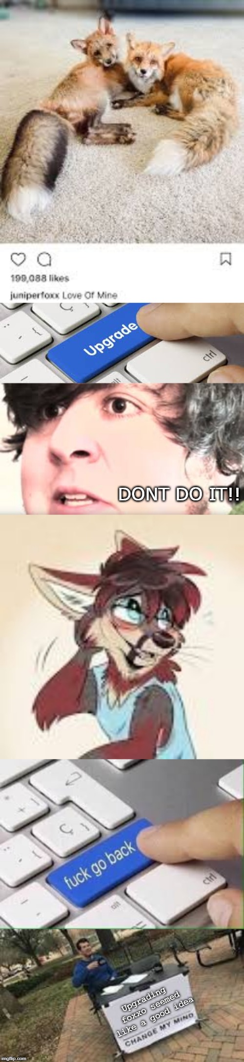Yay Foxxo - Imgflip
