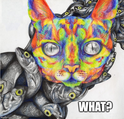 Psychedelic catfish - Imgflip