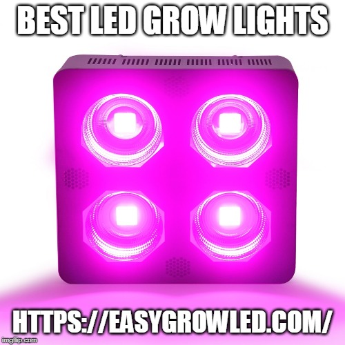 Best LED Grow Lights - Imgflip