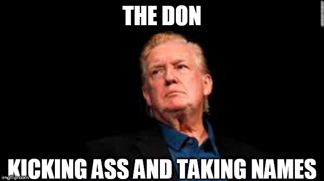 The Don - Imgflip