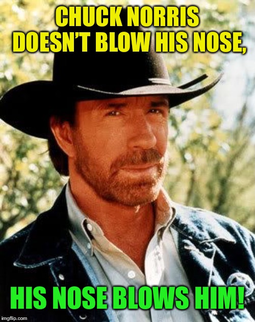 Chuck Norris Meme - Imgflip