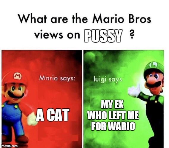 Mario Bros Views - Imgflip
