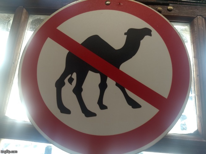 Sign at a restaurant 😭 : r/Somalia