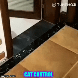Cat Control - Imgflip
