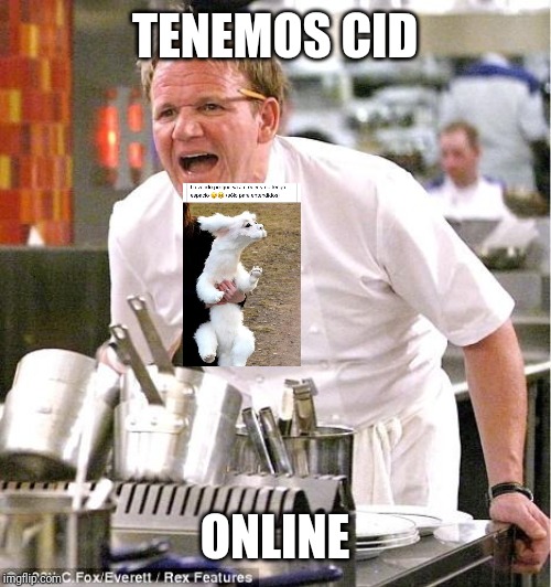 Chef Gordon Ramsay Meme - Imgflip