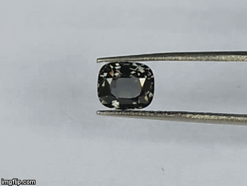 Animated GIF - Imgflip