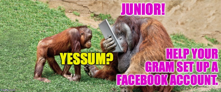 Evil Kermit - Imgflip