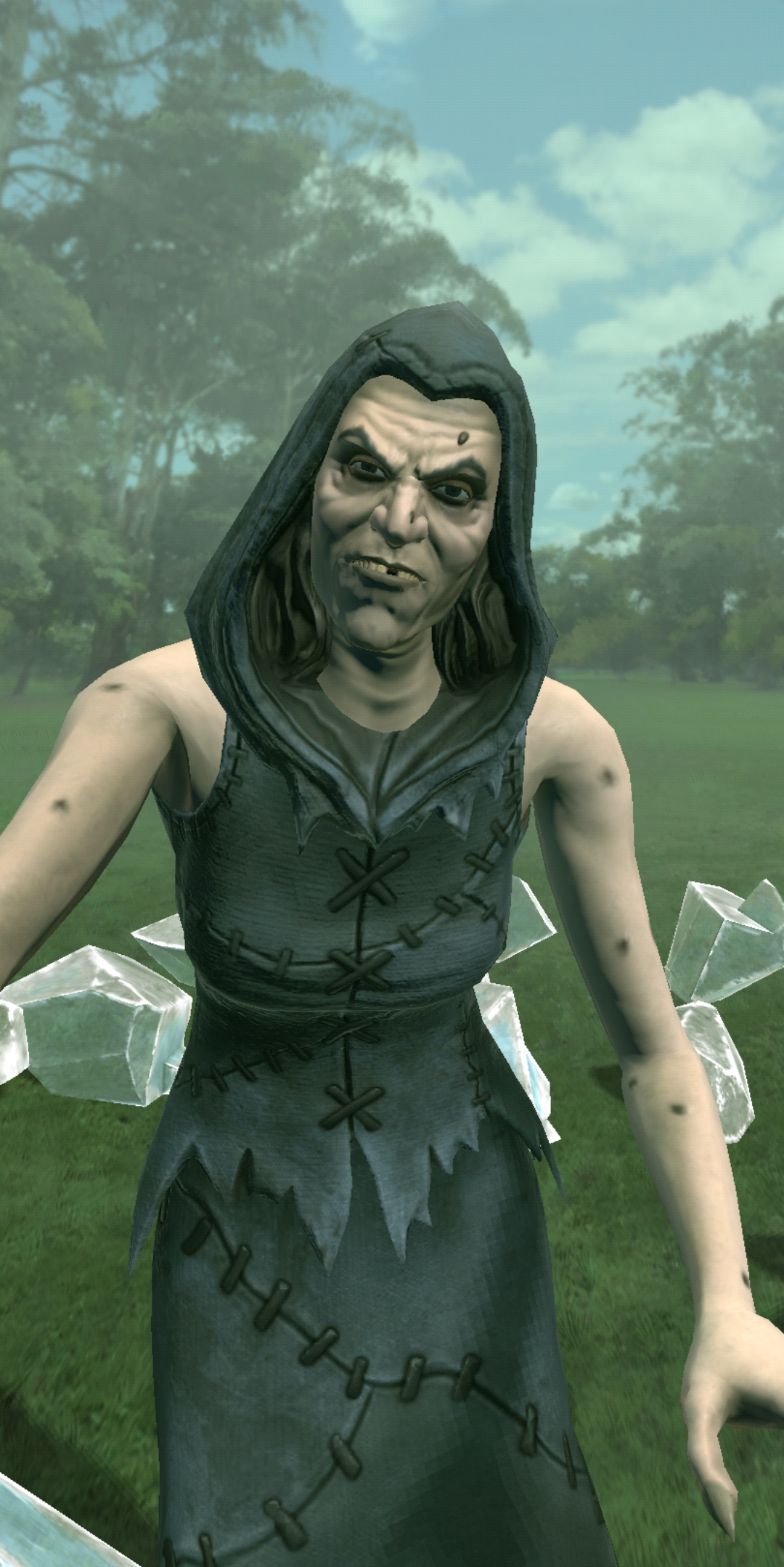 Misunderstood Hag Blank Template - Imgflip