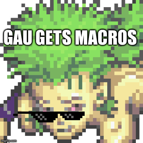 Gau gets macros - Imgflip