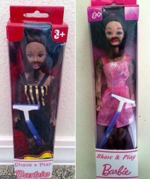 Transgender Barbie Imgflip