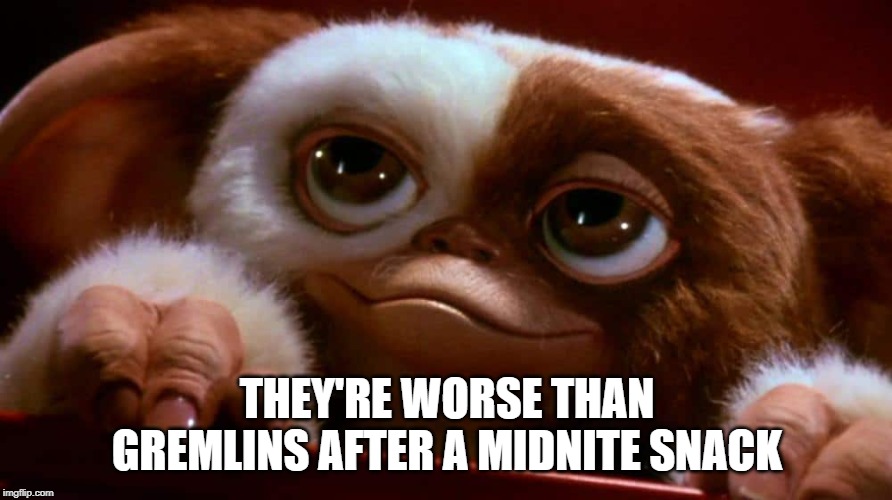 And believe me, they're HUNGRY! - Imgflip