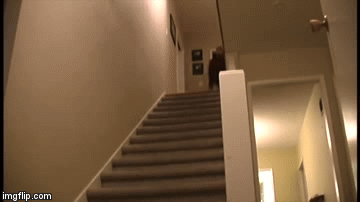 Animated GIF - Imgflip