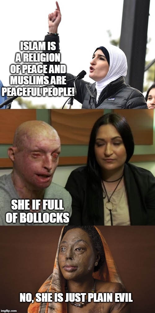 Throwing acid in peoples faces is wrong. In some peoples eyes. - Imgflip