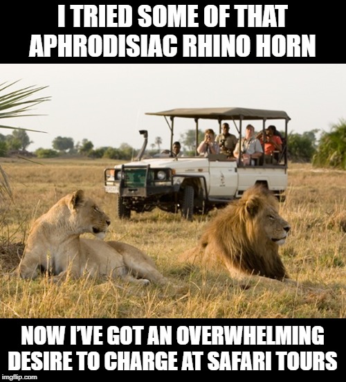 Love Potion #Rhino? - Imgflip