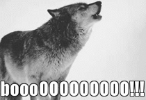 BOO! - Imgflip