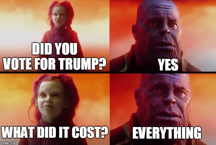Thanos What Did It Cost Meme Template