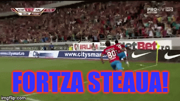 Fortza Steaua Fortza Steaua Hei Hei - Imgflip