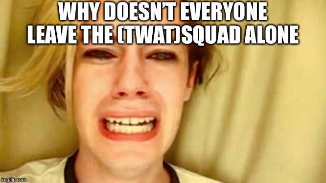 Brittany meltdown meme - guglpub