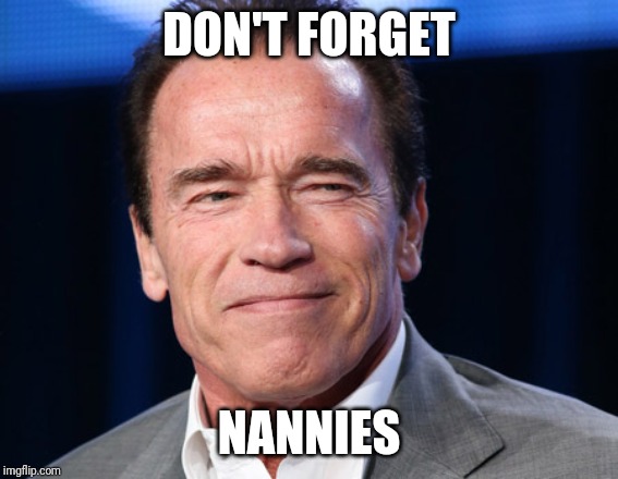 Arnold Schwarzenegger approves - Imgflip