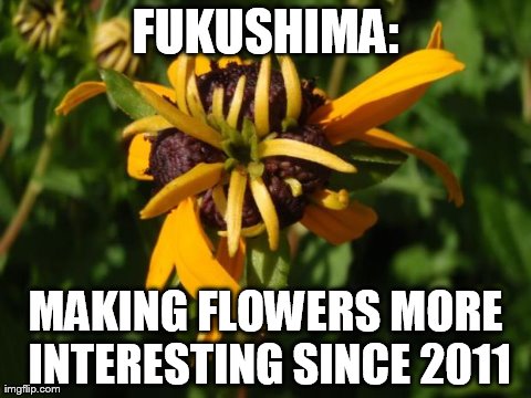 Image tagged in fuku flower 1 - Imgflip