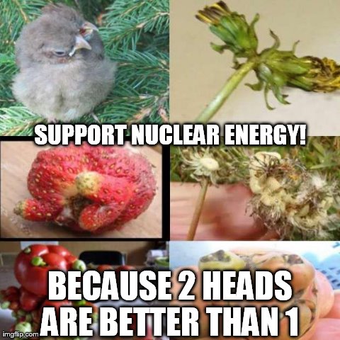 Image tagged in 2 heads 1 - Imgflip