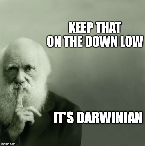 Darwin on sex and music - Imgflip