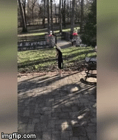 WHACK!!! - Imgflip