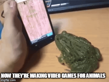 Frogger's Reward - Imgflip