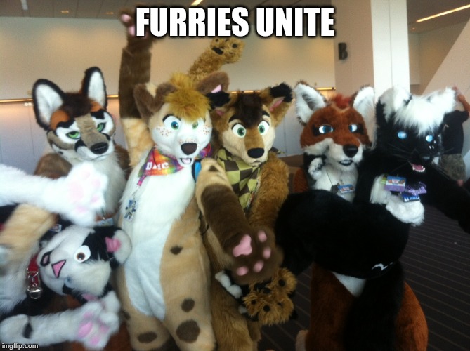 We Should Hunt Furries - Imgflip