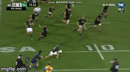 Springboks Rip All Blacks - Imgflip