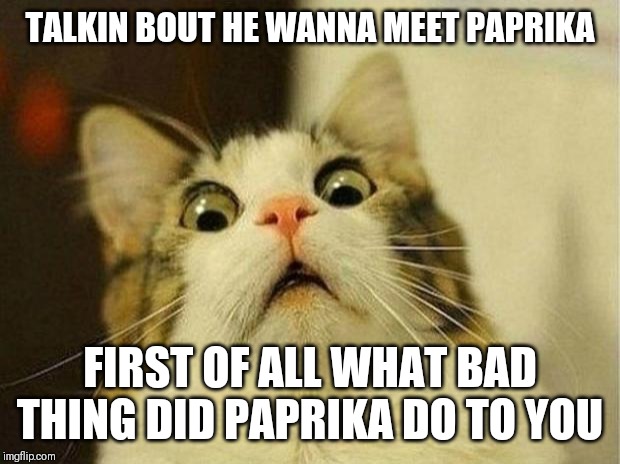 Scared Cat Meme - Imgflip