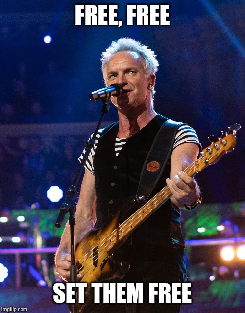 I Wanna See I Wanna See! - Imgflip