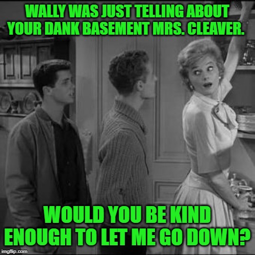 I got the fire dank memes, bustin' at the seams, I rhyme all the time ...