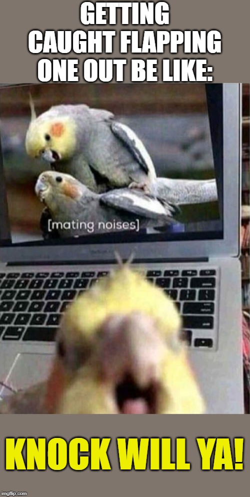 Wingin It!! - Imgflip